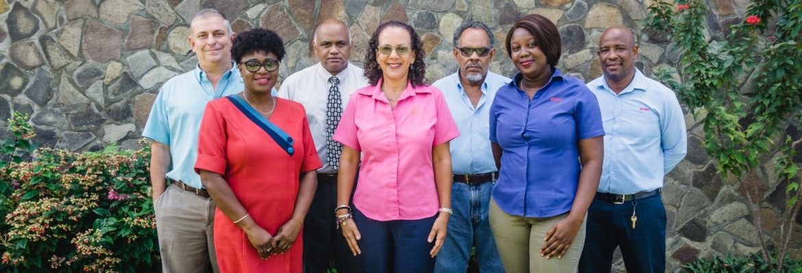 The East Caribbean Group of Companies - Caribbean Business Directory The East Caribbean Group of Companies - Caribbean Business Directory